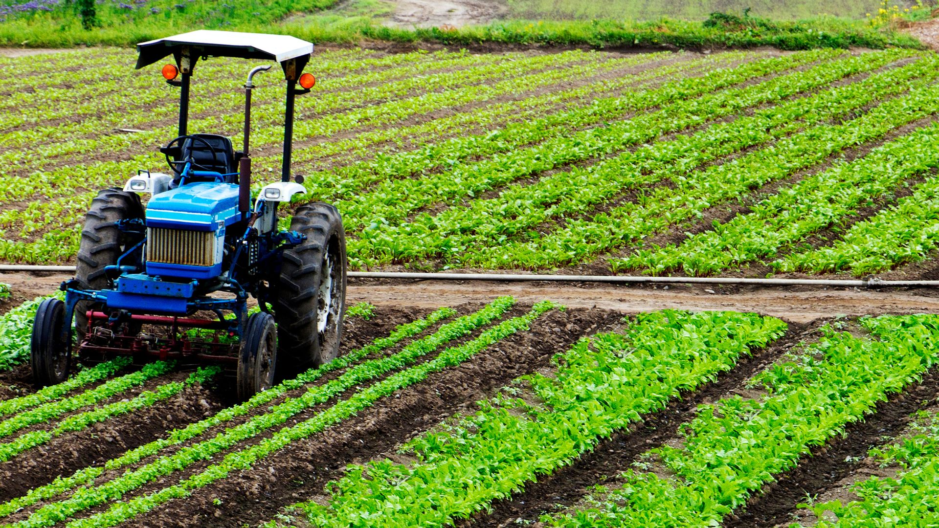 Al Bader Lobbying Groups